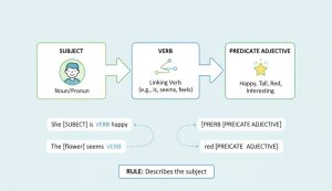Predicate Adjectives: Definition, Examples, and Usage Rules - englishnotation.com