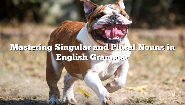 Mastering Singular and Plural Nouns in English Grammar ...
